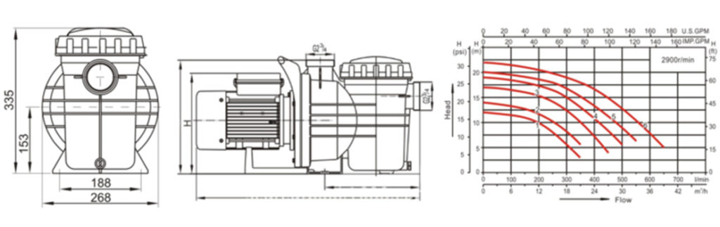 Pool Pump SWIM Series - Guanya Swimming Pool Equipment Co., Ltd ...
